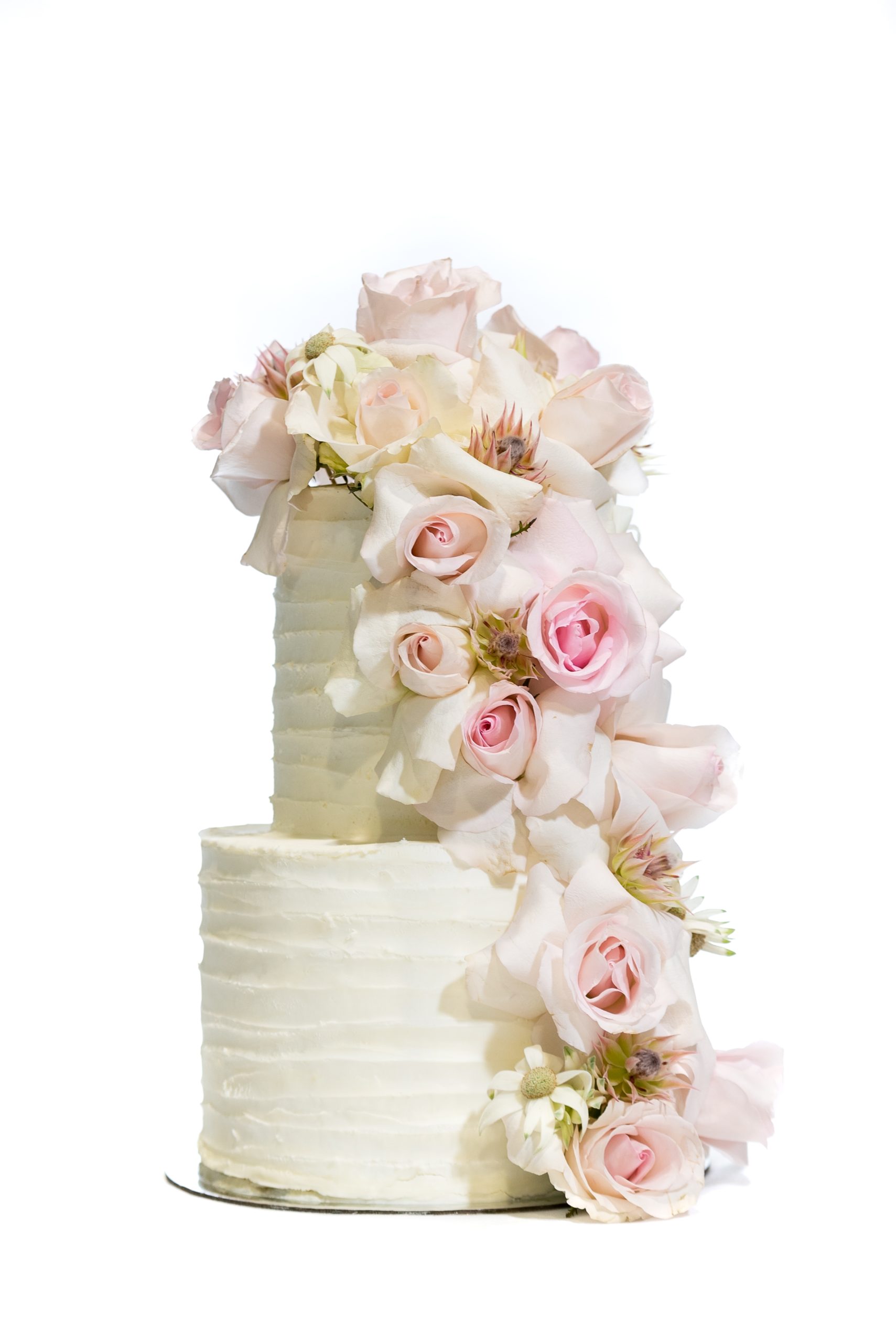 Hamilton Island Bakery - Hamilton Island Weddings